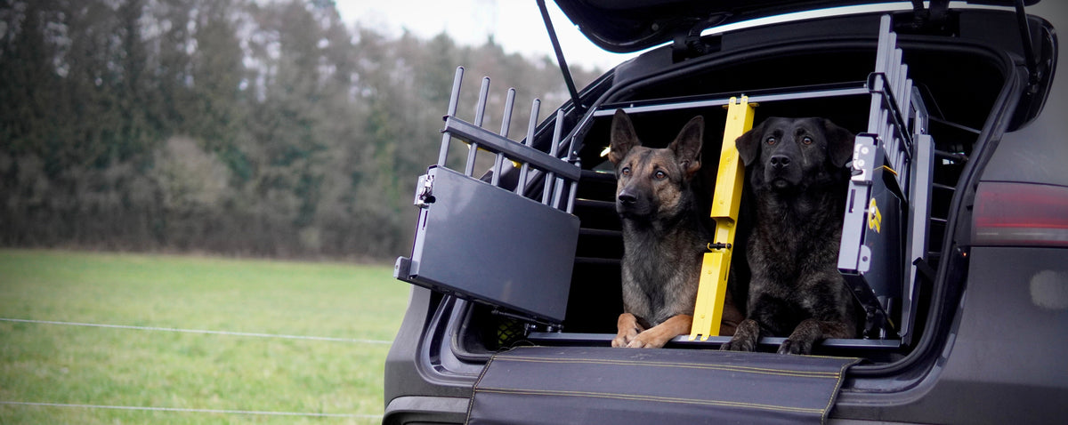 MIMsafe Car Safety – the Pantry | K9 Anytime